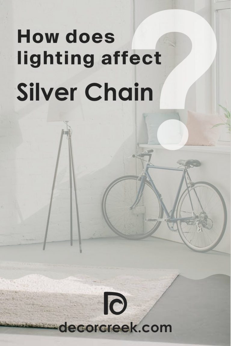 Silver Chain 1472 Paint Color by Benjamin Moore - DecorCreek