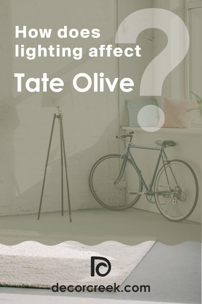 Tate Olive HC-112 Paint Color by Benjamin Moore - DecorCreek