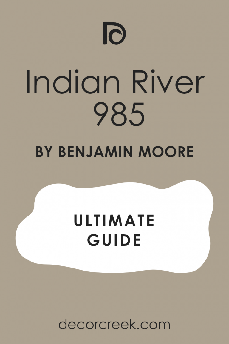 Indian River 985 Paint Color by Benjamin Moore - DecorCreek