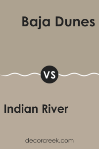 Indian River 985 Paint Color by Benjamin Moore - DecorCreek