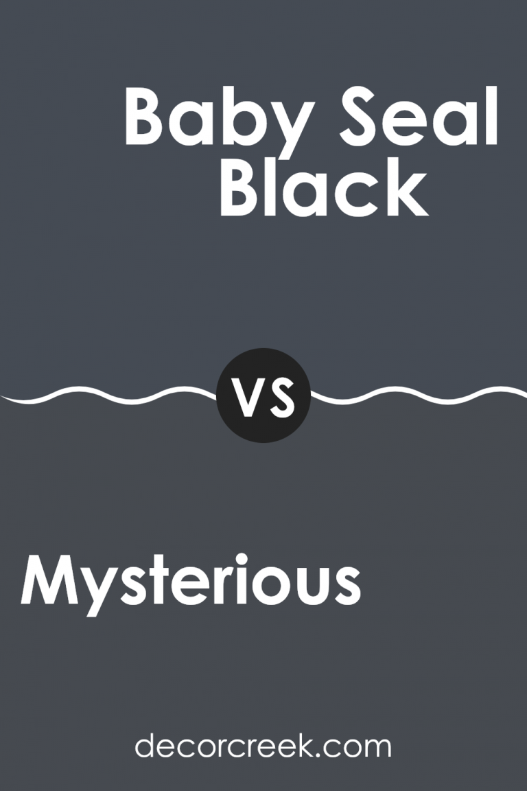 Mysterious AF-565 Paint Color by Benjamin Moore - DecorCreek
