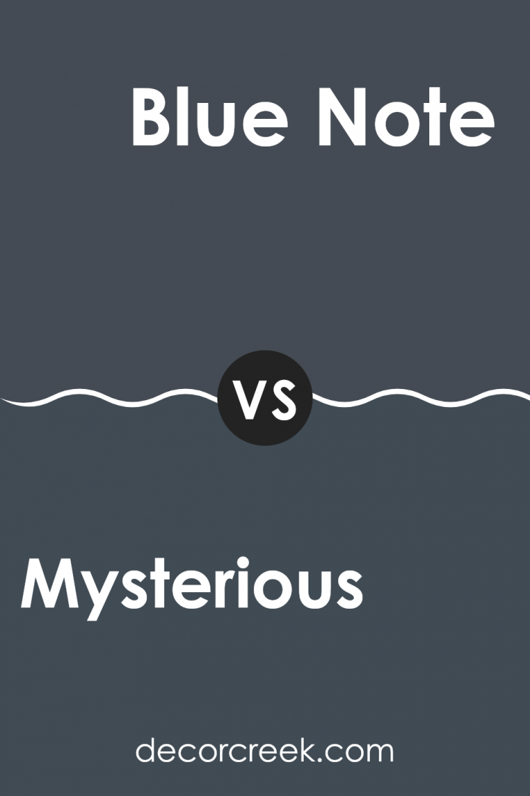 Mysterious AF-565 Paint Color by Benjamin Moore - DecorCreek