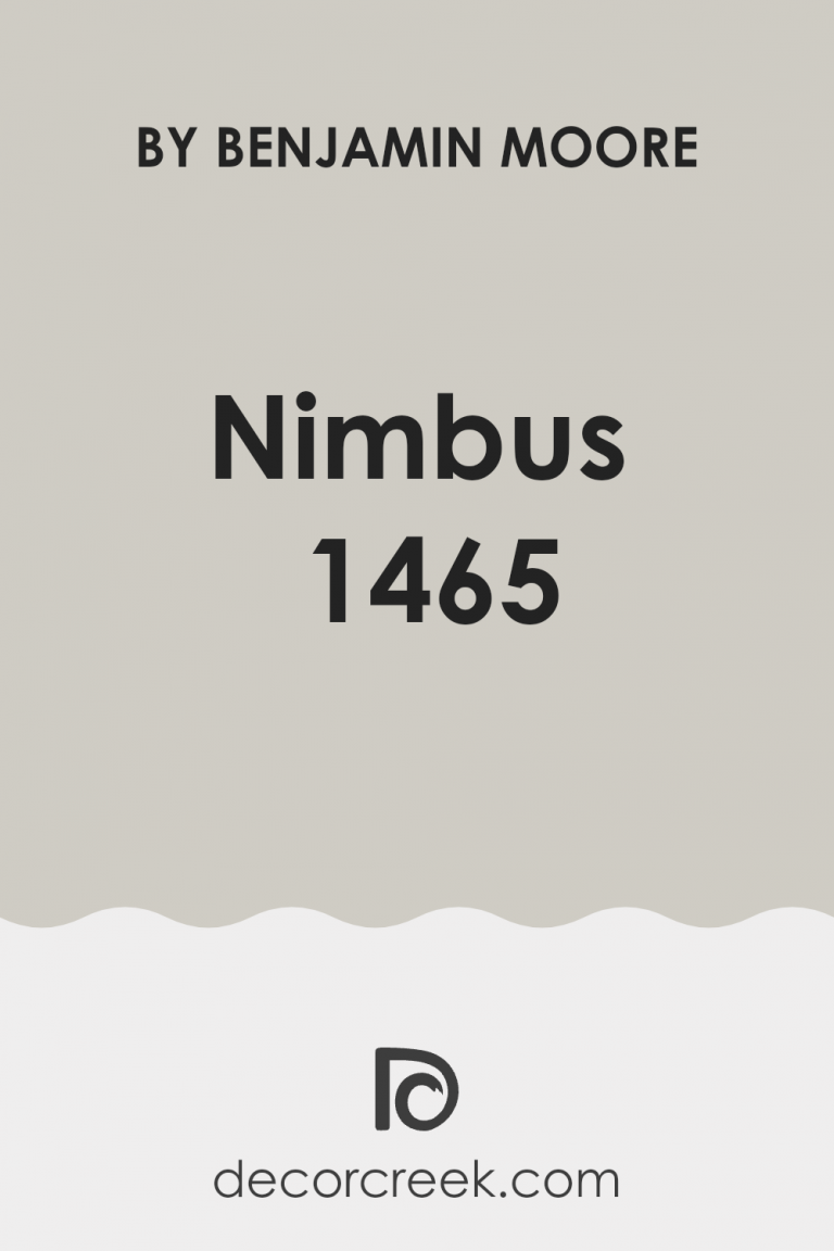Nimbus 1465 Paint Color by Benjamin Moore - DecorCreek