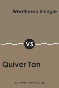 Quiver Tan SW 6151 Paint Color by Sherwin Williams - DecorCreek