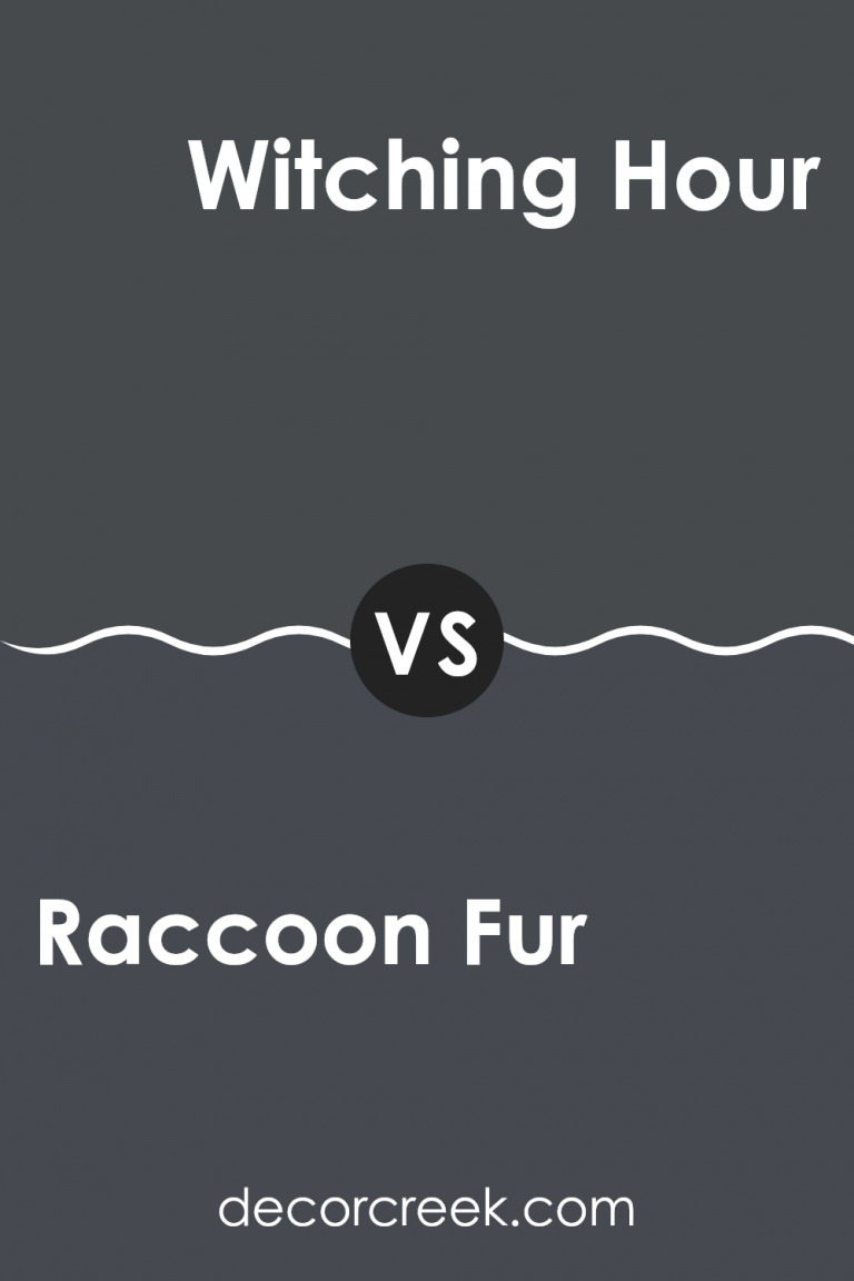 Raccoon Fur 2126-20 Paint Color by Benjamin Moore - DecorCreek