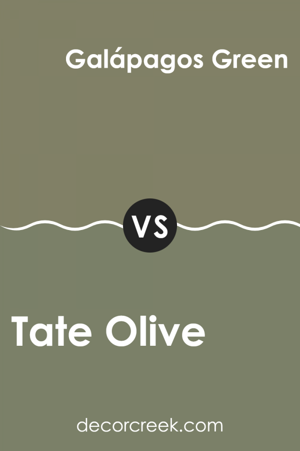 Tate Olive HC-112 Paint Color by Benjamin Moore - DecorCreek