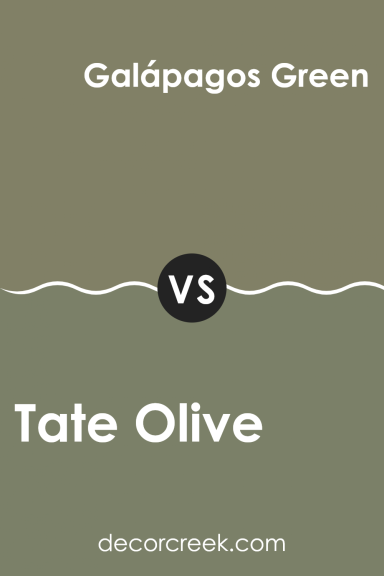 Tate Olive HC-112 Paint Color by Benjamin Moore - DecorCreek