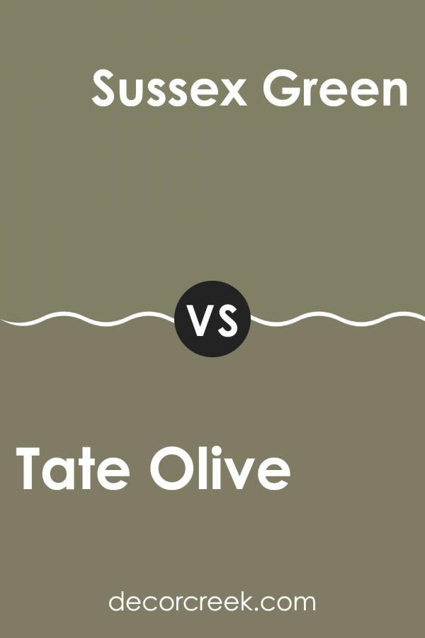 Tate Olive HC-112 Paint Color by Benjamin Moore - DecorCreek