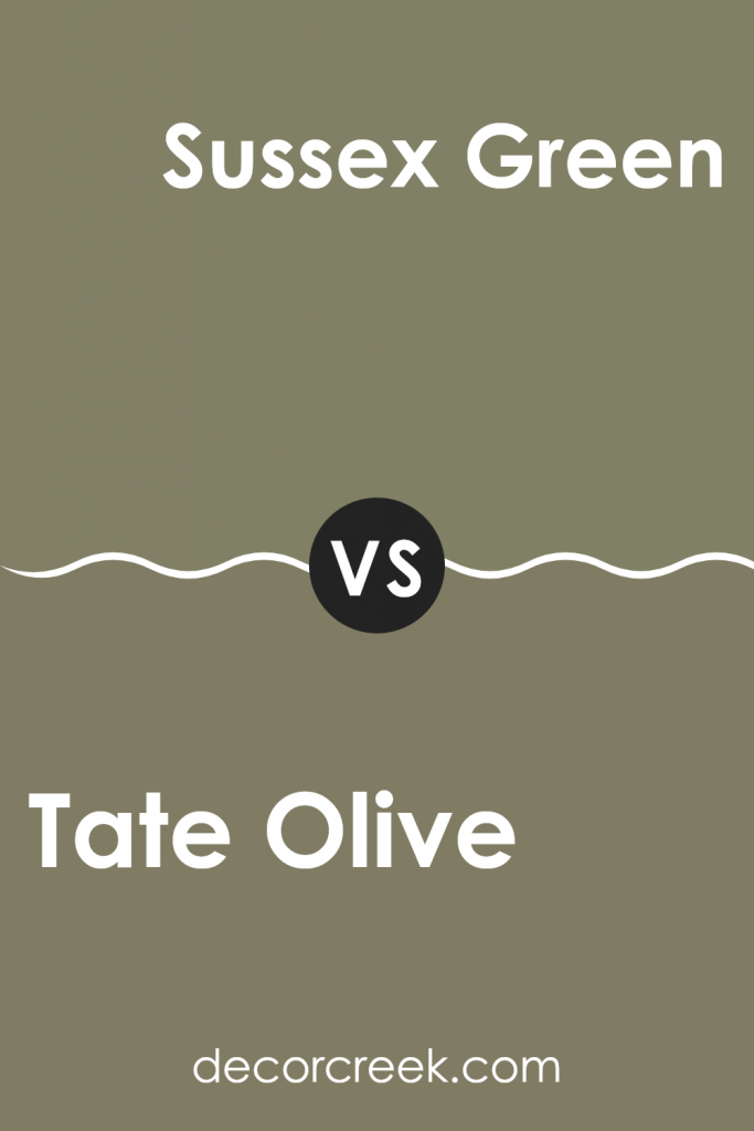 Tate Olive HC-112 Paint Color by Benjamin Moore - DecorCreek