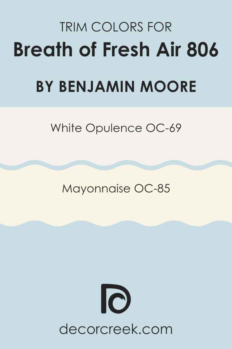 Breath of Fresh Air 806 Paint Color by Benjamin Moore - DecorCreek