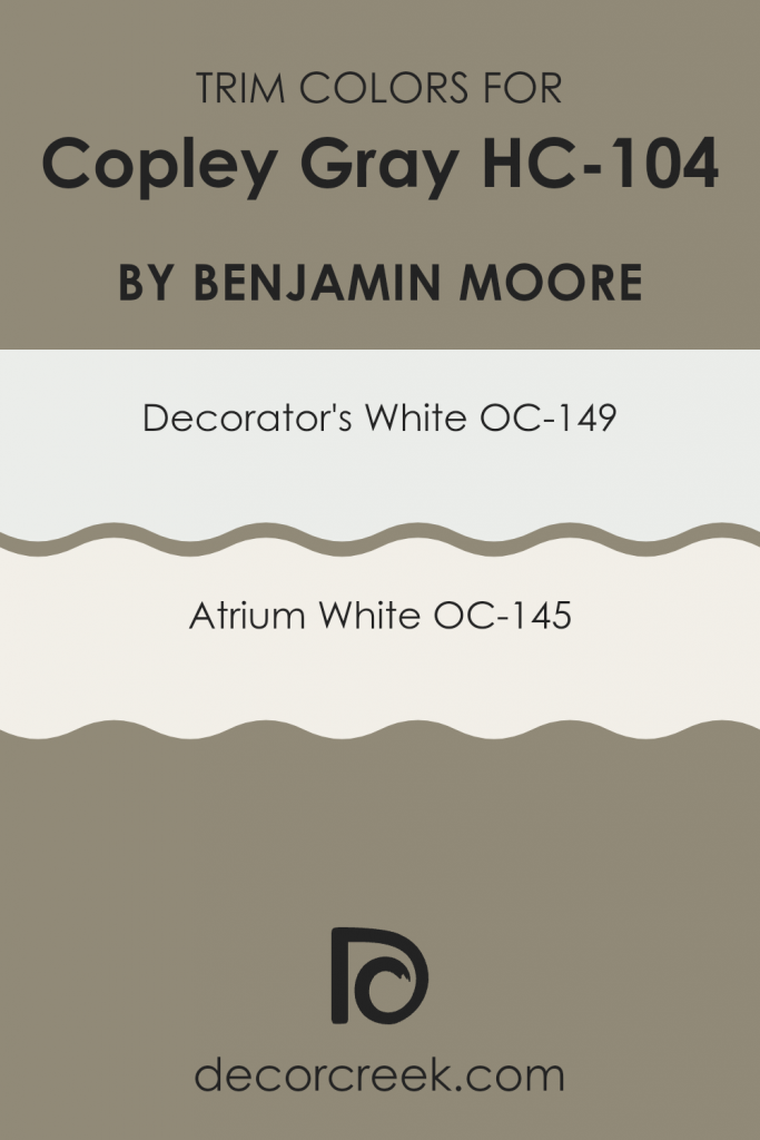 Copley Gray HC-104 Paint Color by Benjamin Moore - DecorCreek