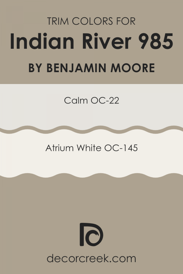 Indian River 985 Paint Color by Benjamin Moore - DecorCreek