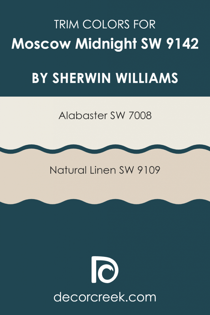 Moscow Midnight SW 9142 Paint Color by Sherwin Williams - DecorCreek