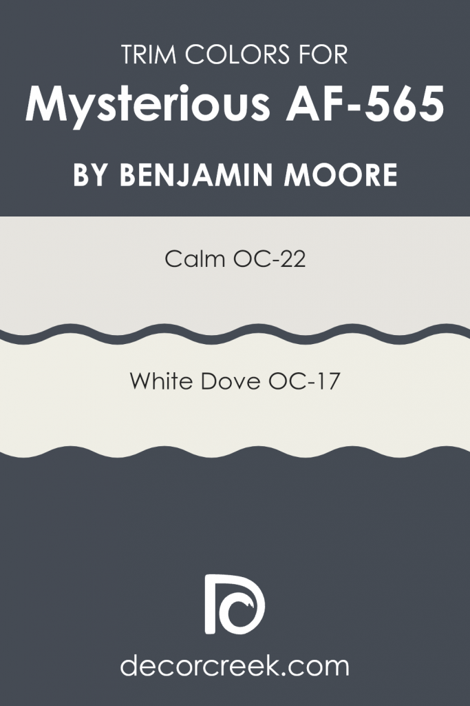Mysterious AF-565 Paint Color by Benjamin Moore - DecorCreek