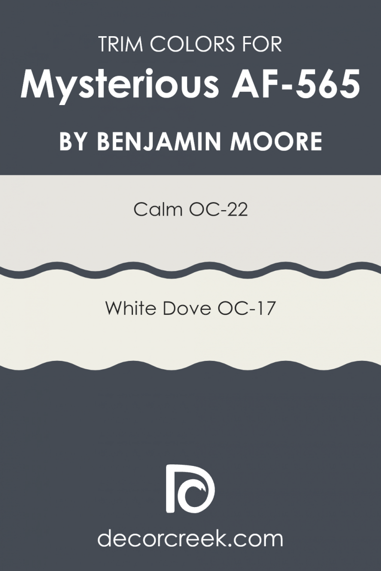 Mysterious AF-565 Paint Color by Benjamin Moore - DecorCreek