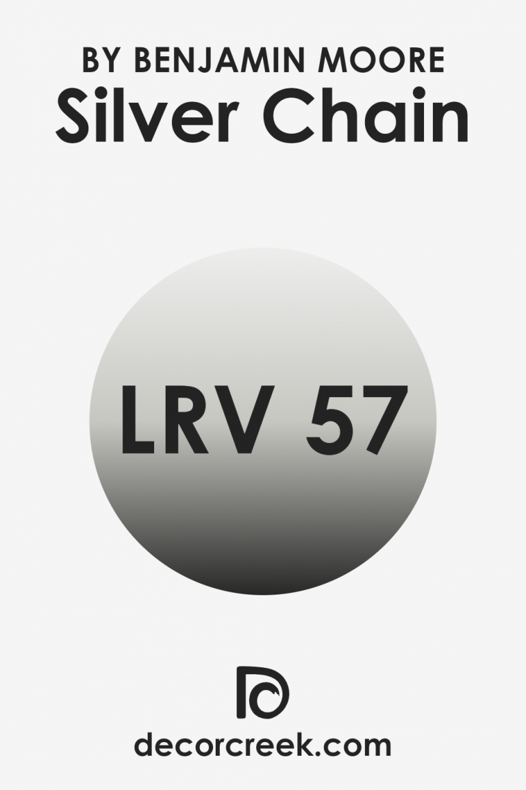 Silver Chain 1472 Paint Color by Benjamin Moore - DecorCreek