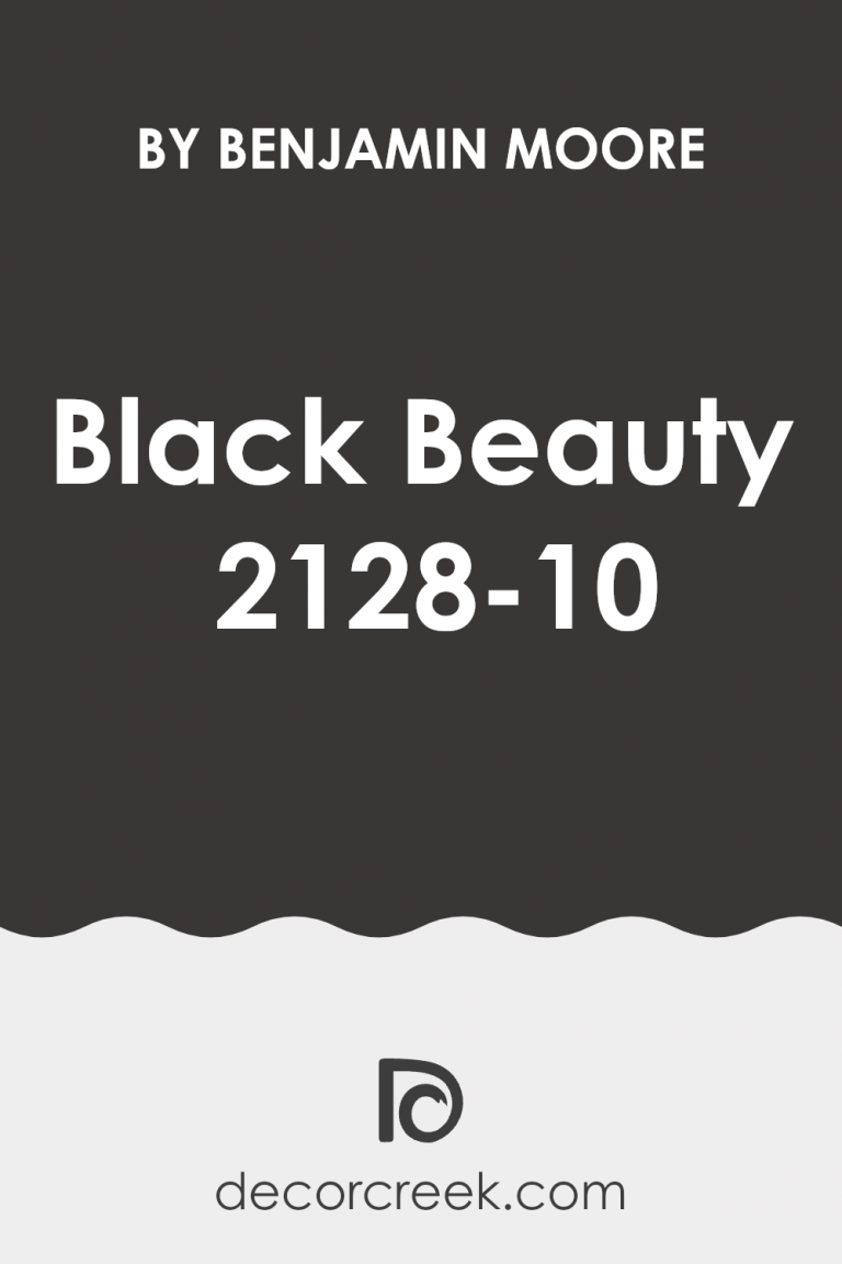 Black Beauty 2128-10 Paint Color by Benjamin Moore - DecorCreek