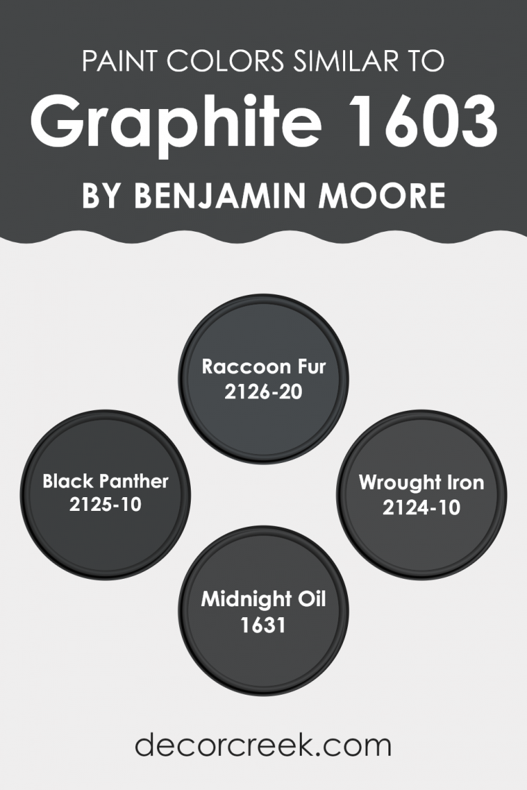 Graphite 1603 Paint Color by Benjamin Moore - DecorCreek