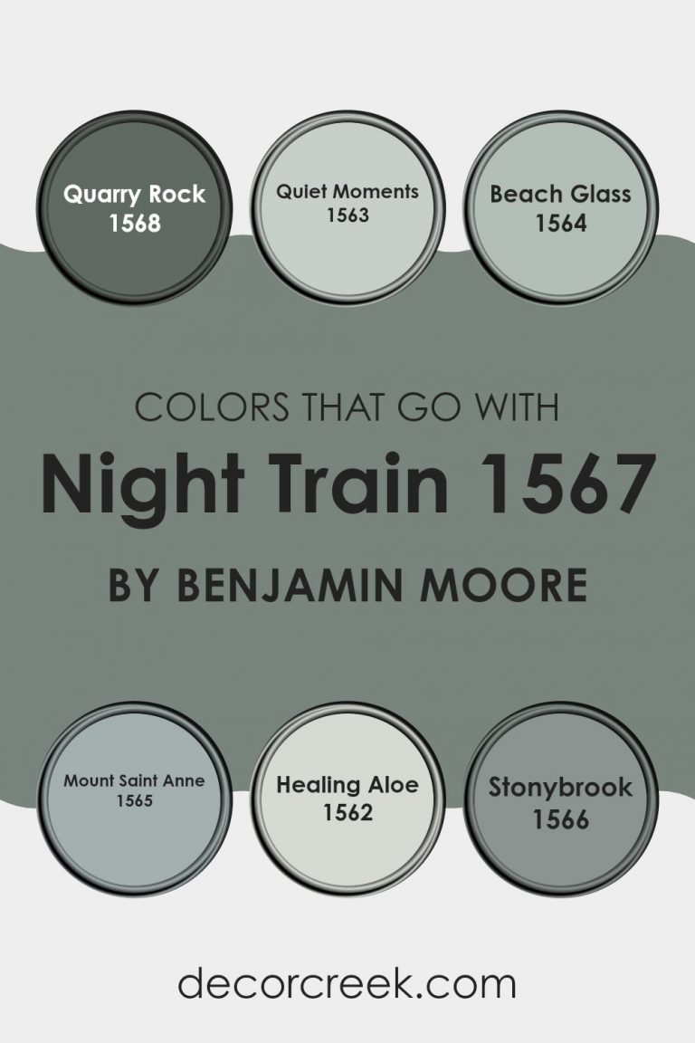 Night Train 1567 Paint Color by Benjamin Moore - DecorCreek