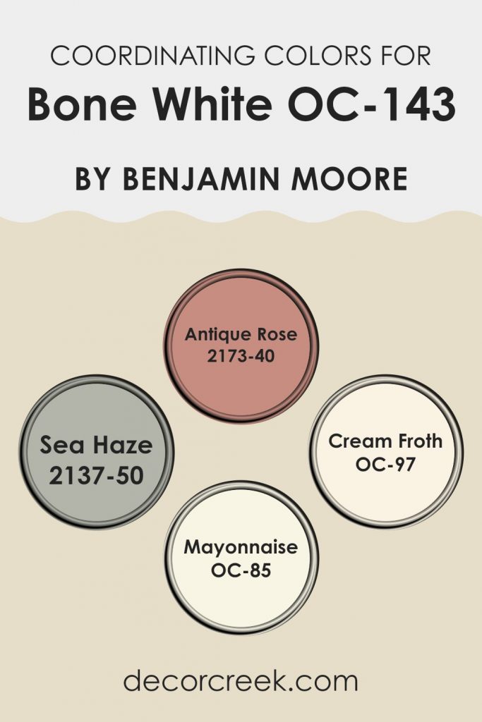 Bone White OC-143 Paint Color by Benjamin Moore - DecorCreek