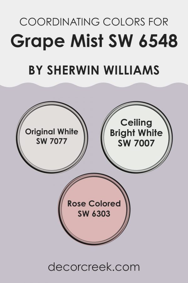 Grape Mist SW 6548 Paint Color by Sherwin Williams - DecorCreek
