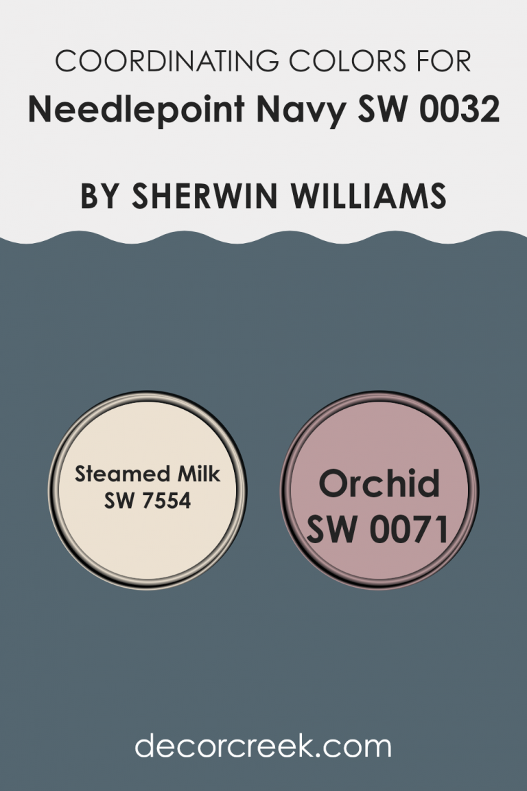 Needlepoint Navy SW 0032 Paint Color by Sherwin Williams - DecorCreek