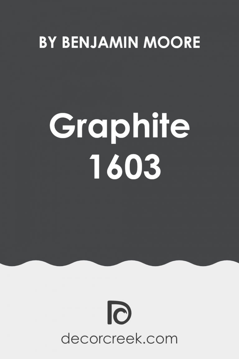 Graphite 1603 Paint Color by Benjamin Moore - DecorCreek