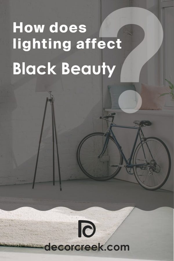 Black Beauty 2128-10 Paint Color by Benjamin Moore - DecorCreek