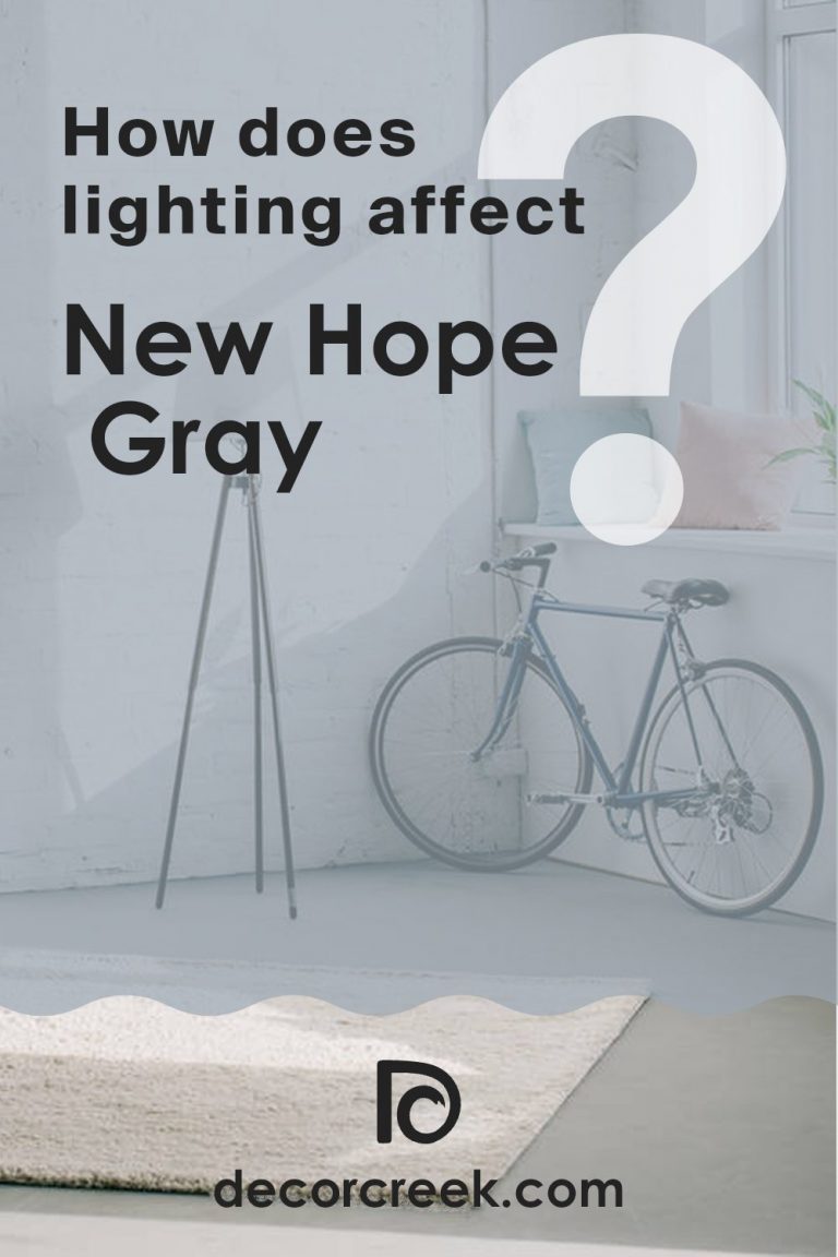 New Hope Gray 2130-50 Paint Color by Benjamin Moore - DecorCreek