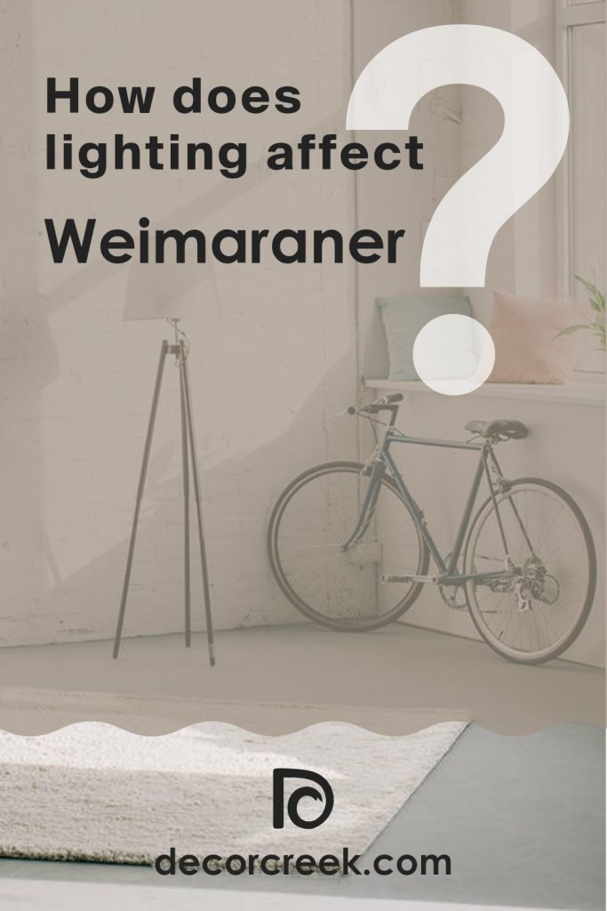 Weimaraner AF-155 Paint Color by Benjamin Moore - DecorCreek