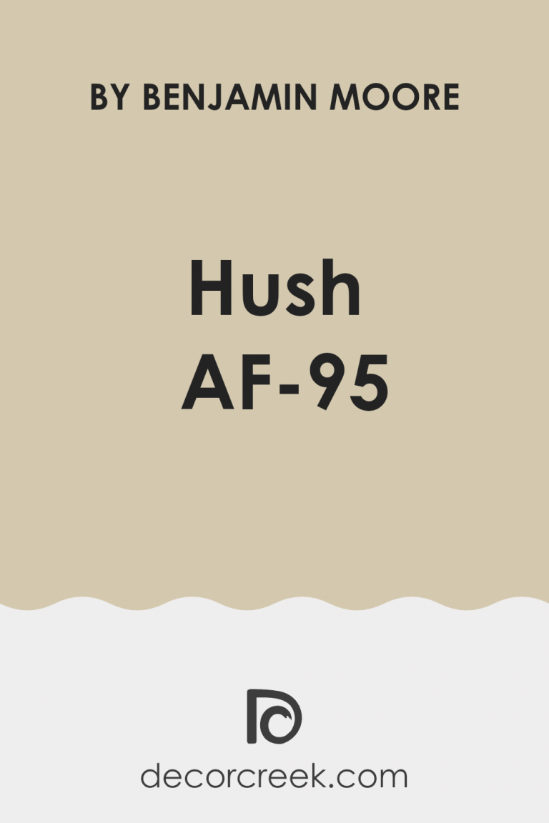 Hush AF-95 Paint Color by Benjamin Moore - DecorCreek