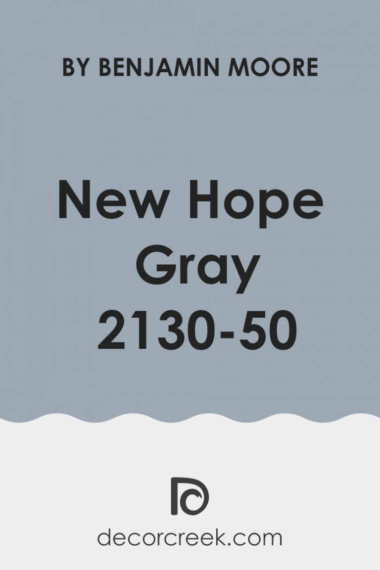 New Hope Gray 2130-50 Paint Color by Benjamin Moore - DecorCreek