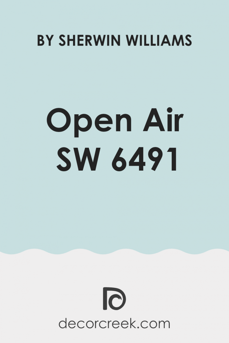 Open Air SW 6491 Paint Color by Sherwin Williams - DecorCreek