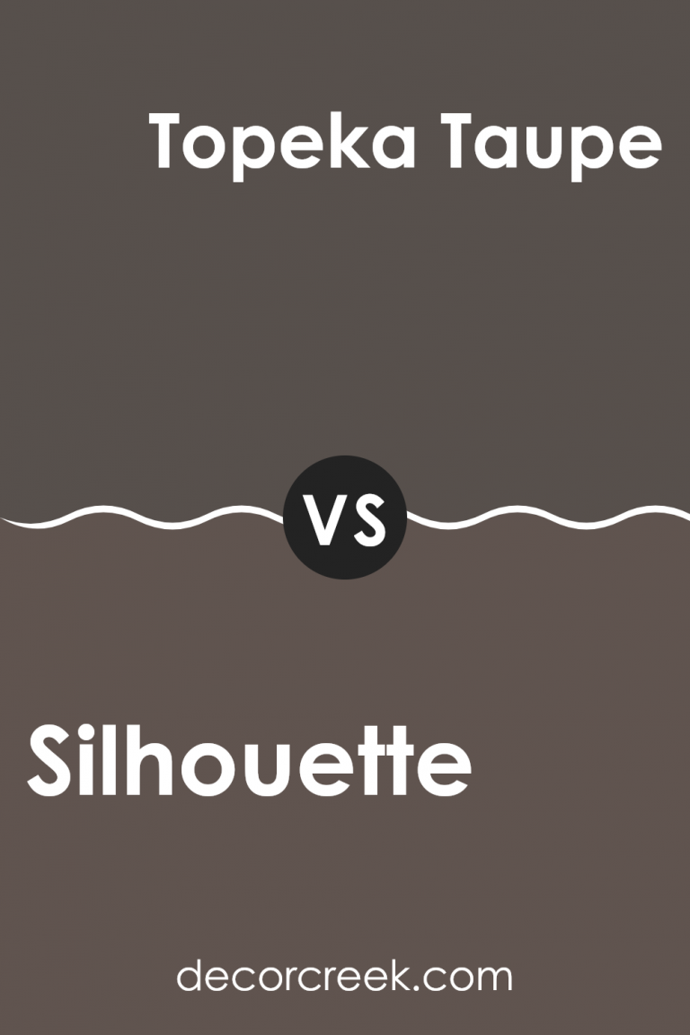 Silhouette AF-655 Paint Color by Benjamin Moore - DecorCreek