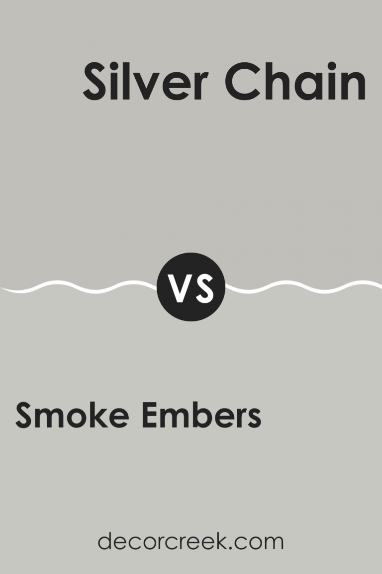 Smoke Embers 1466 Paint Color by Benjamin Moore - DecorCreek