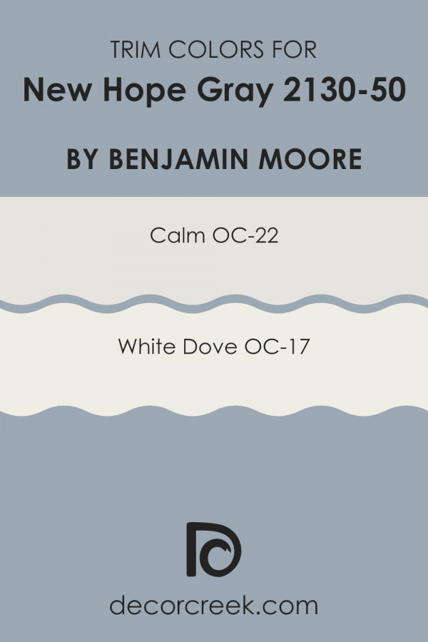 New Hope Gray 2130-50 Paint Color by Benjamin Moore - DecorCreek