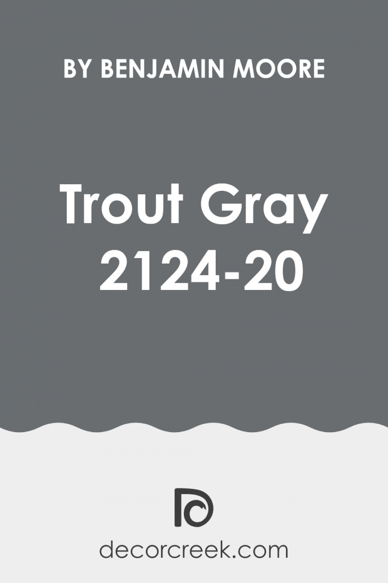 Trout Gray 2124-20 Paint Color by Benjamin Moore - DecorCreek