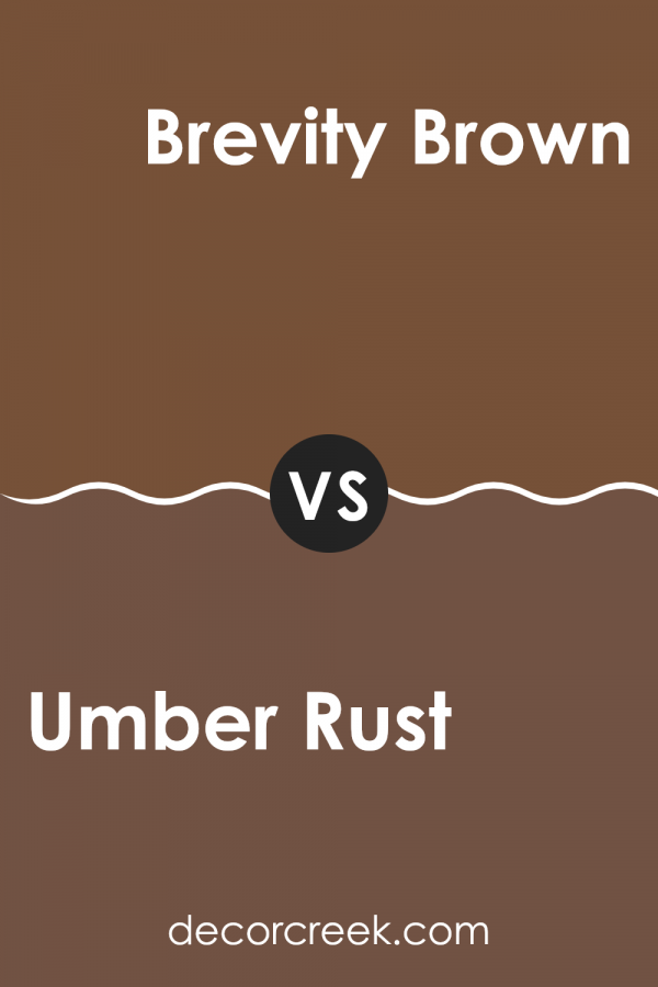 Umber Rust SW 9100 Paint Color by Sherwin Williams - DecorCreek
