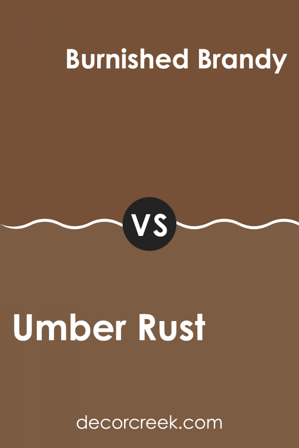 Umber Rust SW 9100 Paint Color by Sherwin Williams - DecorCreek
