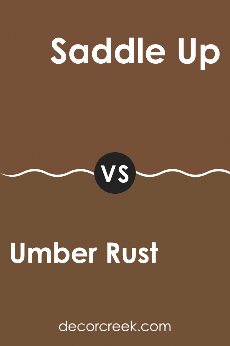 Umber Rust SW 9100 Paint Color by Sherwin Williams - DecorCreek