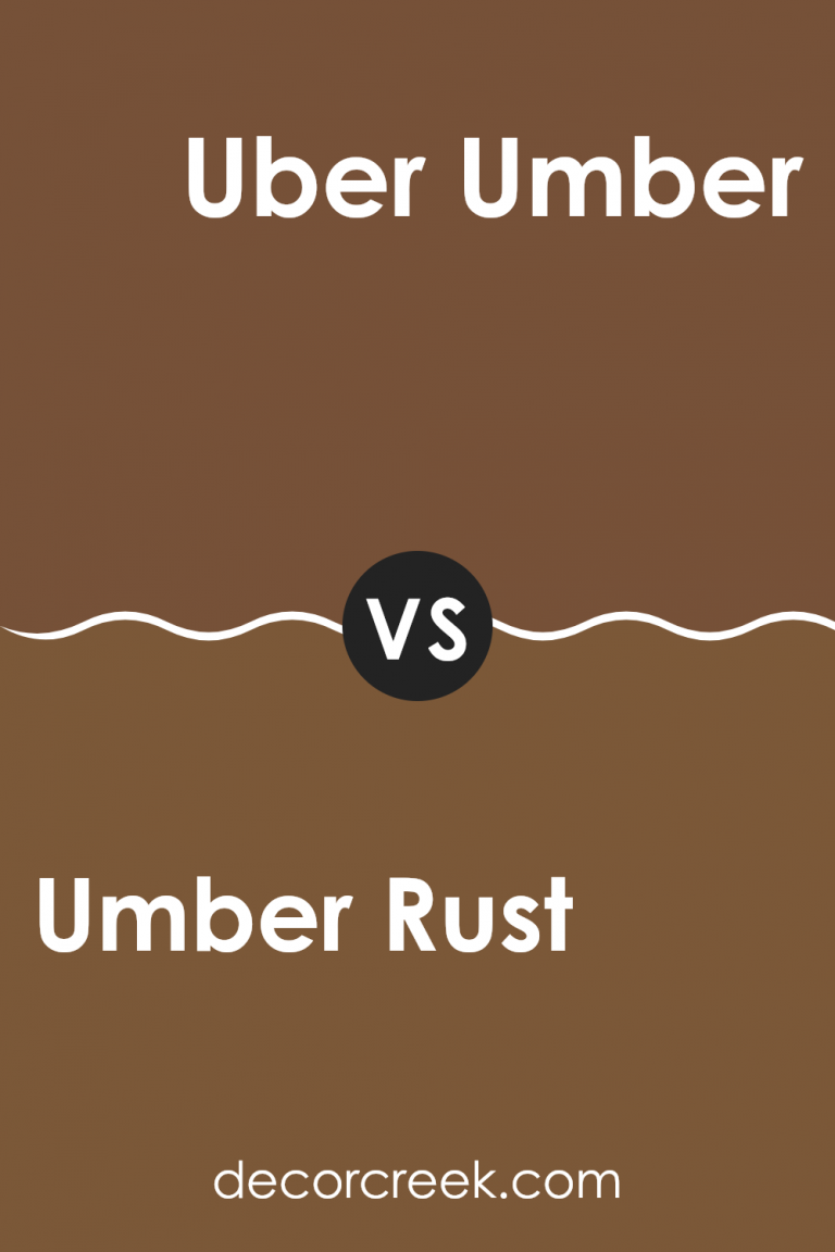 Umber Rust SW 9100 Paint Color by Sherwin Williams - DecorCreek