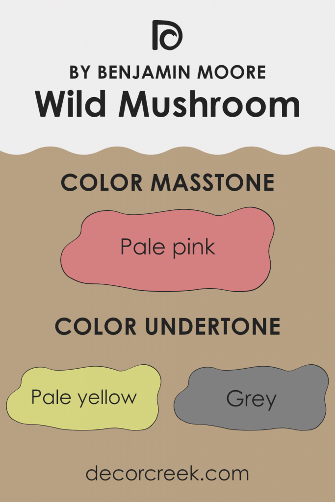 Wild Mushroom CC-336 Paint Color by Benjamin Moore - DecorCreek