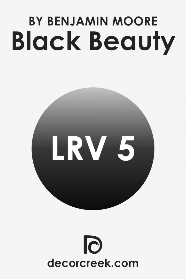 Black Beauty 2128-10 Paint Color by Benjamin Moore - DecorCreek