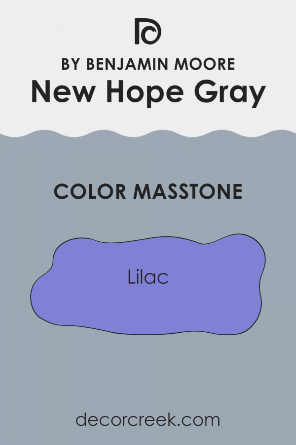 New Hope Gray 2130-50 Paint Color by Benjamin Moore - DecorCreek
