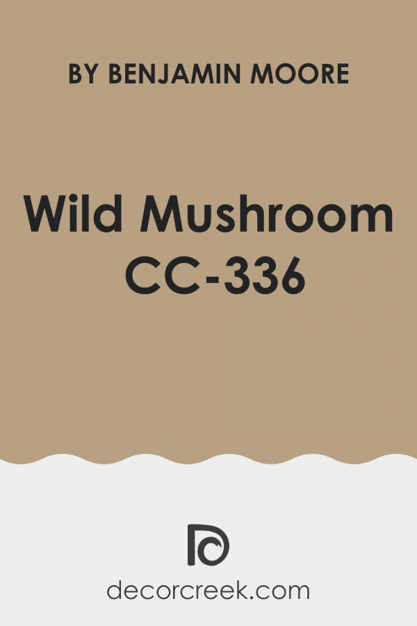 Wild Mushroom CC-336 Paint Color by Benjamin Moore - DecorCreek