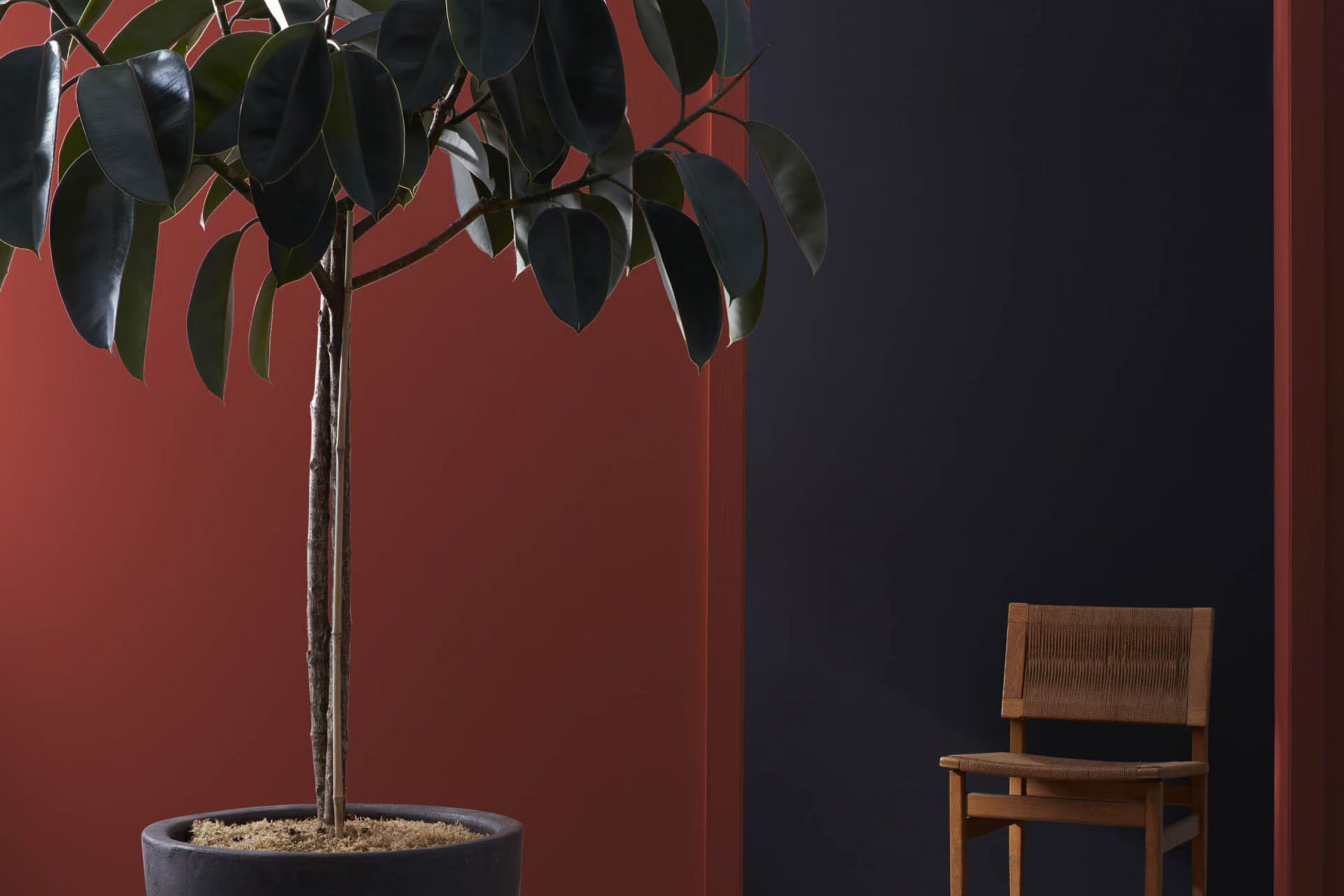 Cottage Red HC-184 Paint Color by Benjamin Moore - DecorCreek