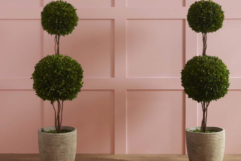 Rose Bisque 2102-50 Paint Color by Benjamin Moore - DecorCreek