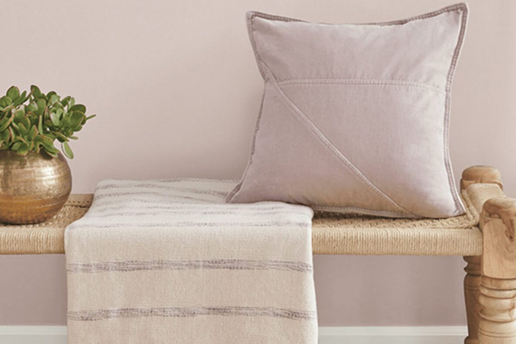 White Truffle SW 6029 Paint Color by Sherwin Williams - DecorCreek