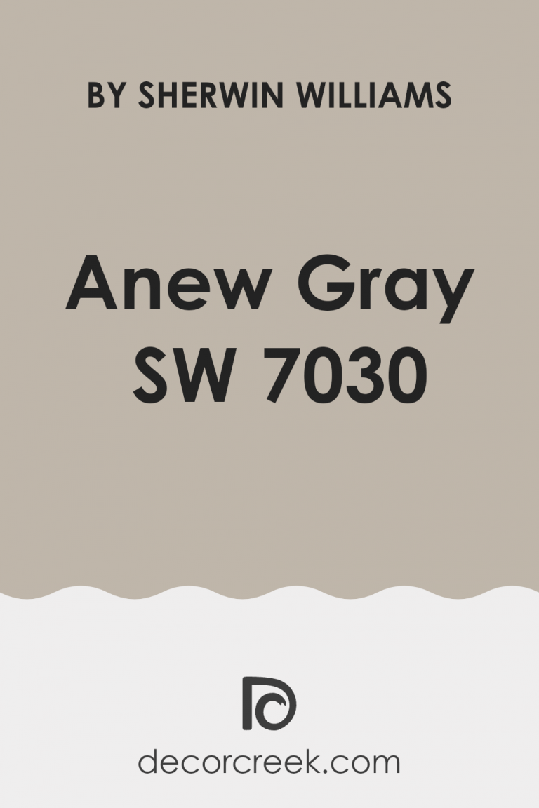 Things to Know Before You Choose Anew Gray SW 7030 by Sherwin Williams ...