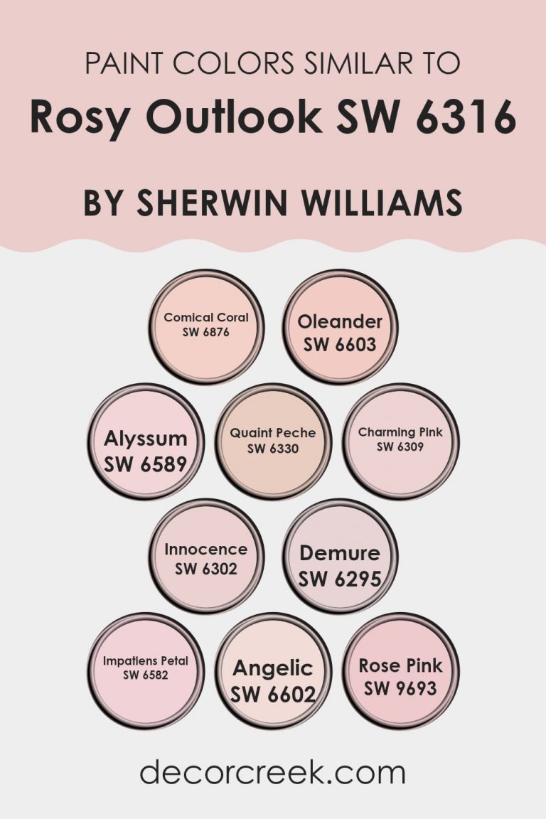 Rosy Outlook SW 6316 Paint Color by Sherwin Williams - DecorCreek